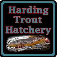 Services - Harding Trout Hatchery