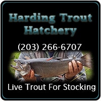 Connecticut's #1 Source For Trophy Trout - Harding Trout Hatchery