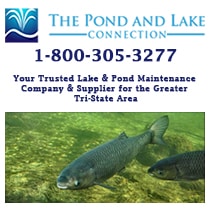 Connecticut's #1 Source For Trophy Trout - Harding Trout Hatchery